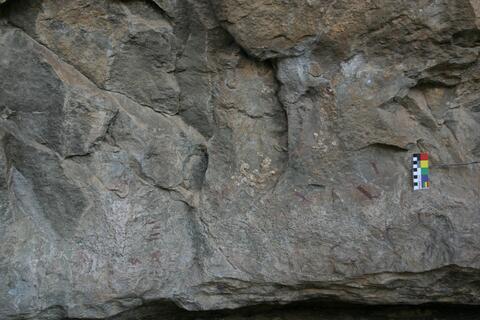 NMSA RSA BEA2 1D - RARI